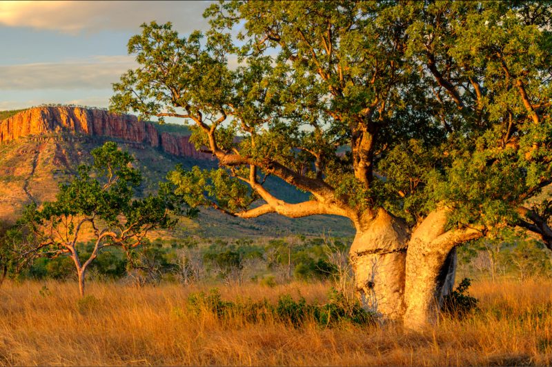 El Questro Experiences - Kimberley Experiences